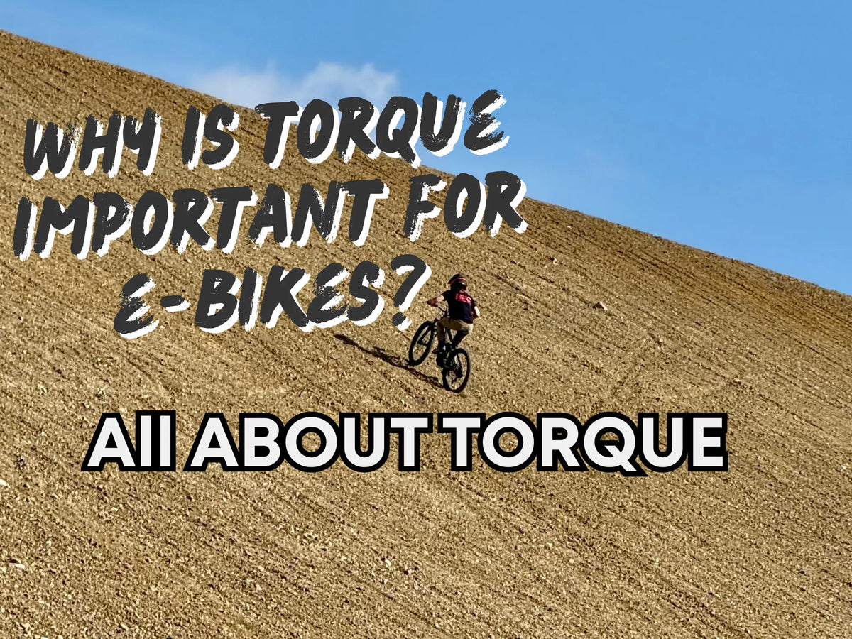 Why Torque Matters for High-Performance E-Bikes – Hi Power Cycles